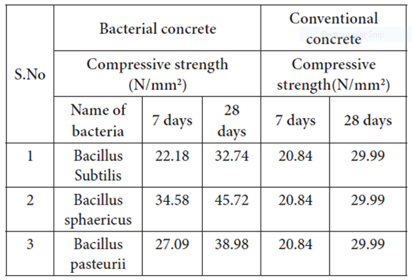 Bio Concrete
