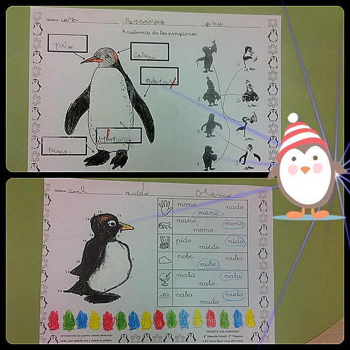 Cole de colores: FICHAS PROYECTO PINGÜINOS