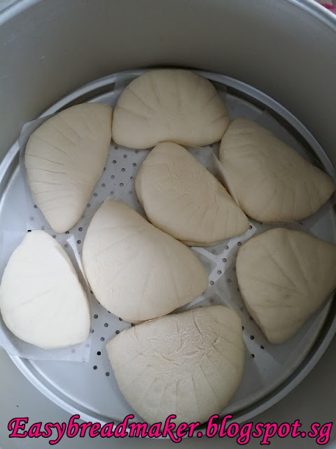Easy Breadmaker and Cooking 简单面包机: Steamed Chinese Pocket Buns