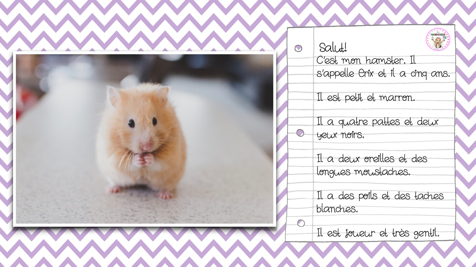 Description des animaux