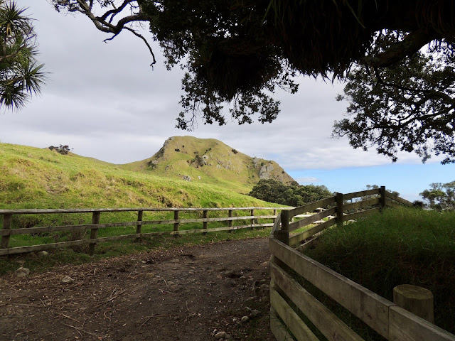 THE ROAD TAKEN : Busby Head Track