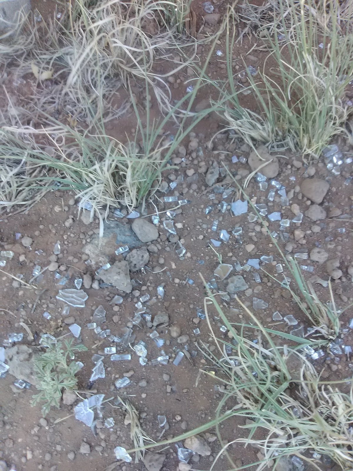 Lee Craven: Lee Craven (Arizona) Overview of Who He is and Some Damages ...