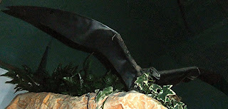 ShukerNature: THE AHOOL AND THE OLITIAU – GIANT MYSTERY BATS ON THE WING?