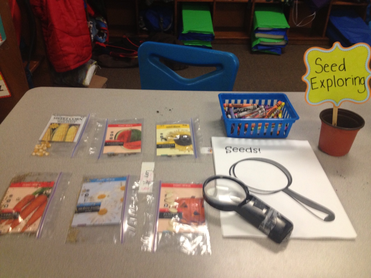 Scribbles and DIBELS: Pre-K lessons on seeds and plants