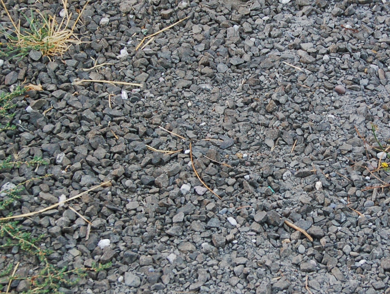 Outside The Interzone: OMN Willamette Valley Geology Presentation Part ...