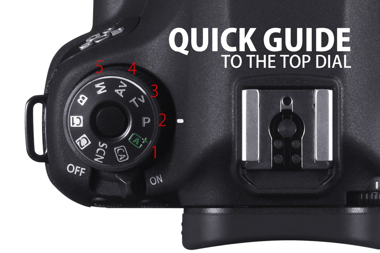 A Quick guide to your Camera’s Top Dial - Mersad Donko Photography