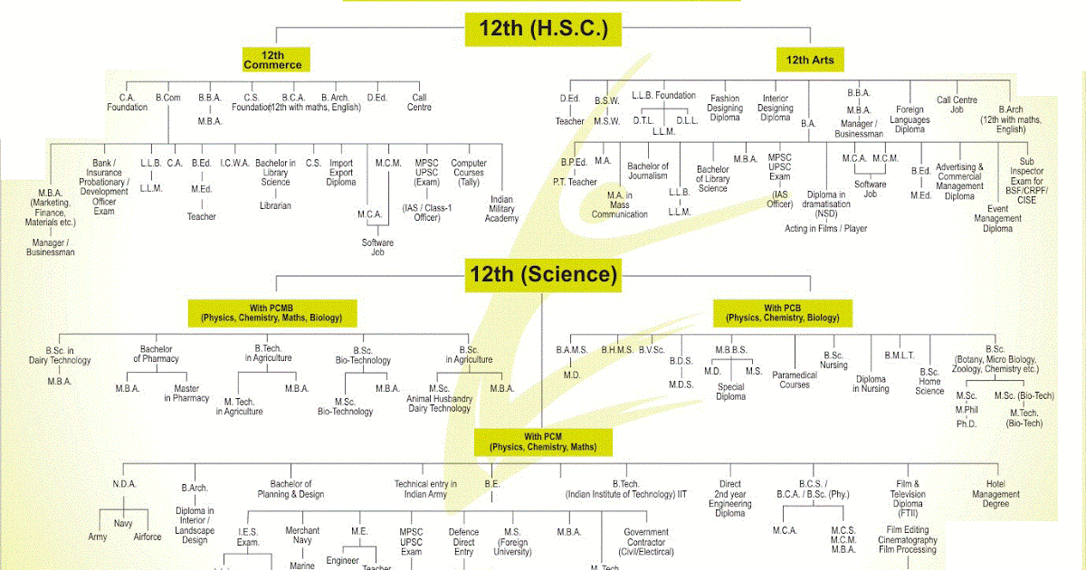 Mr.divi: What After INTERMEDIATE in India..??