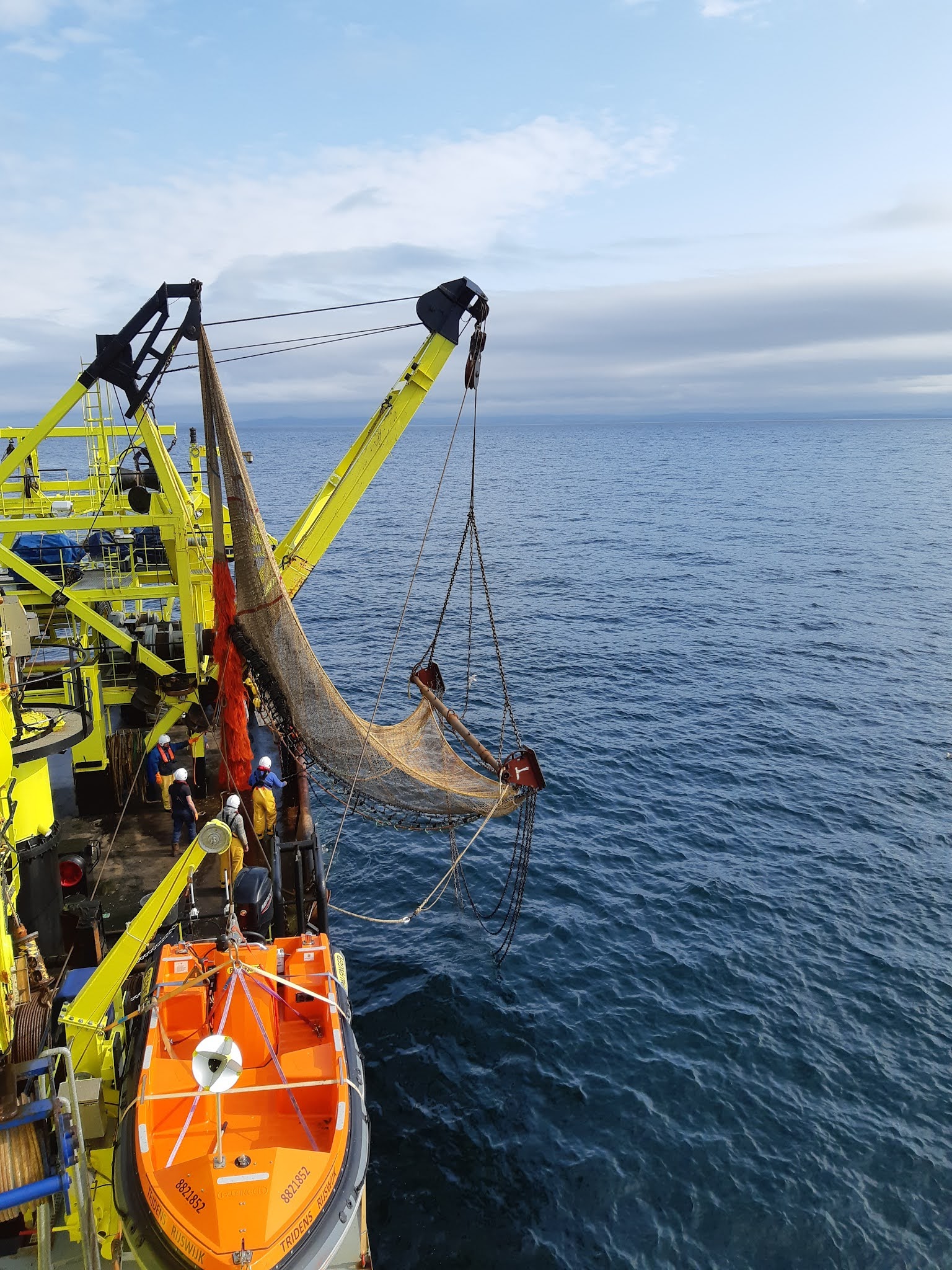 Beam Trawl Survey