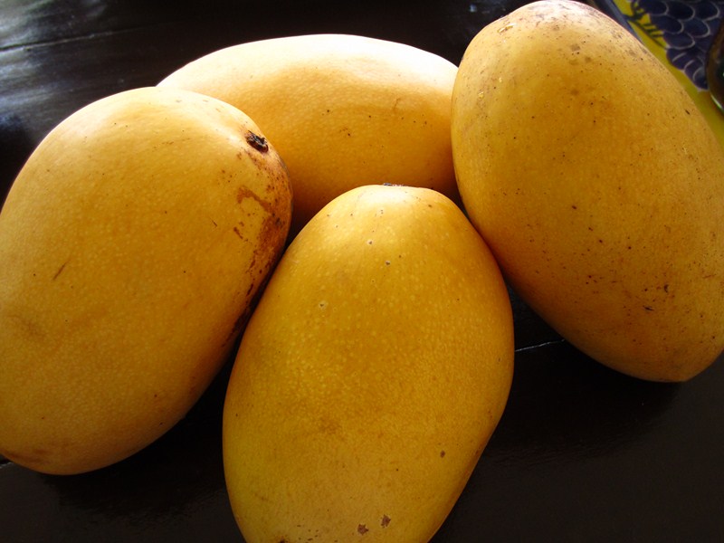 F.Y.I. (Fire Your Imagination)