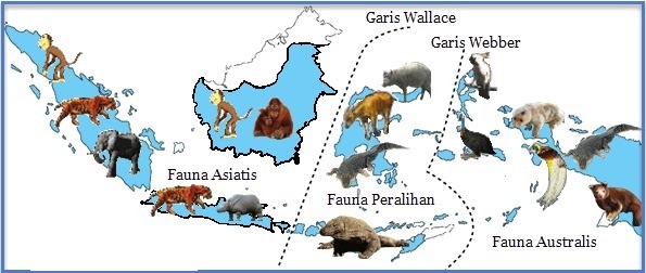 Materi IPS Kelas 6 Ragam Fauna Di Indonesia dan Faktor Penyebabnya