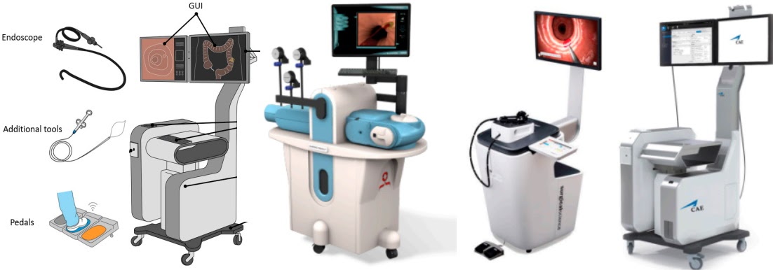 Article intro - Training Simulators for Gastrointestinal Endoscopy