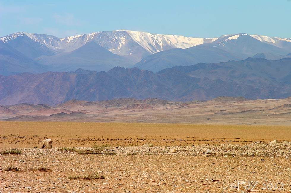 View thru My Global Lens: Markers in the Wilderness