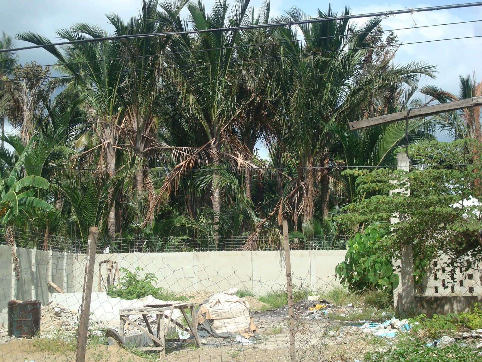 tagasugbo: The Island