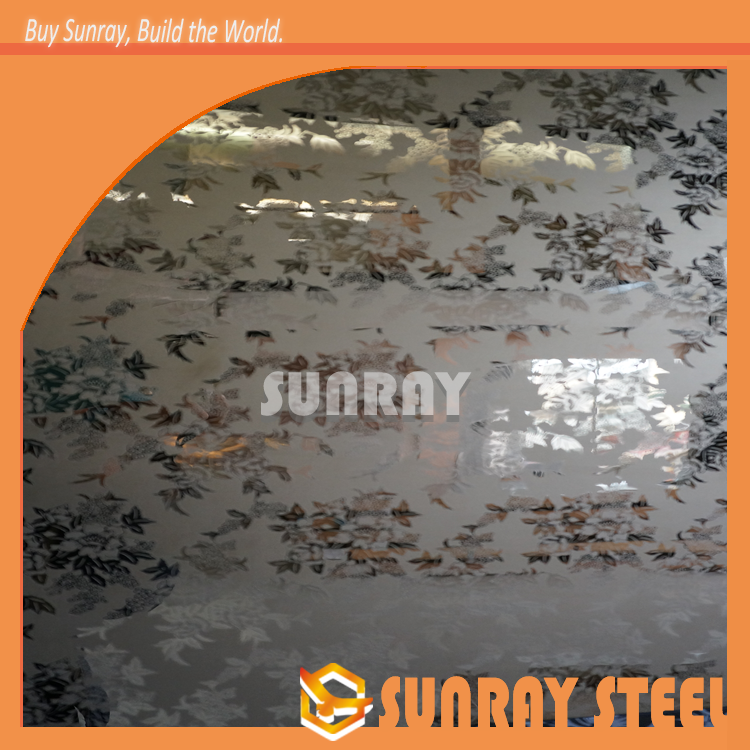 Sunray Steel - Holly: [ Sunray ] Etched Stainless Steel Sheets 13
