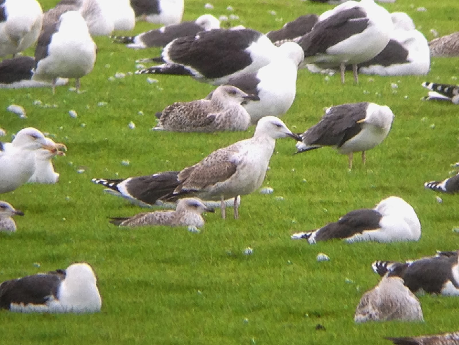 Matt Eade's Blog: January 2014