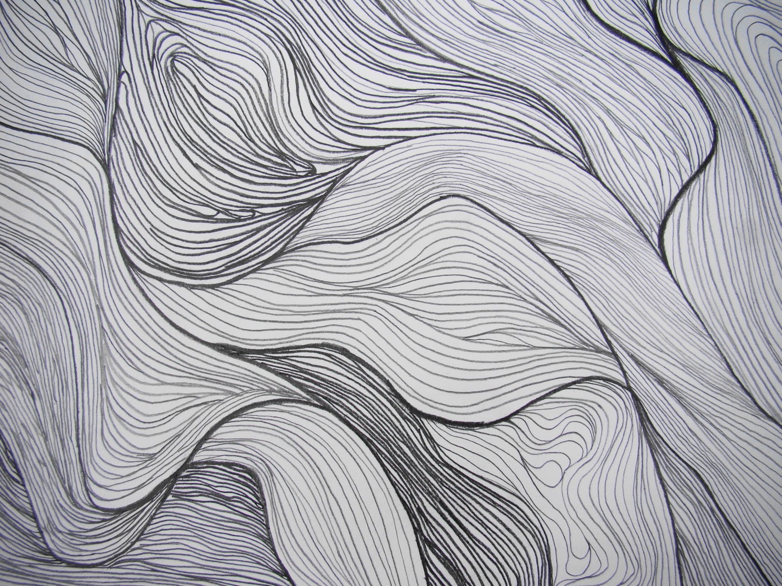 paducah school of art: Line as Movement Project 1 : Student Work