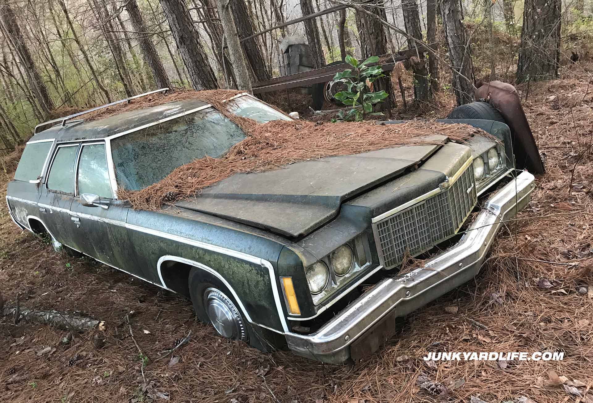 1974 Chevrolet Caprice Estate | Station Wagon Forums