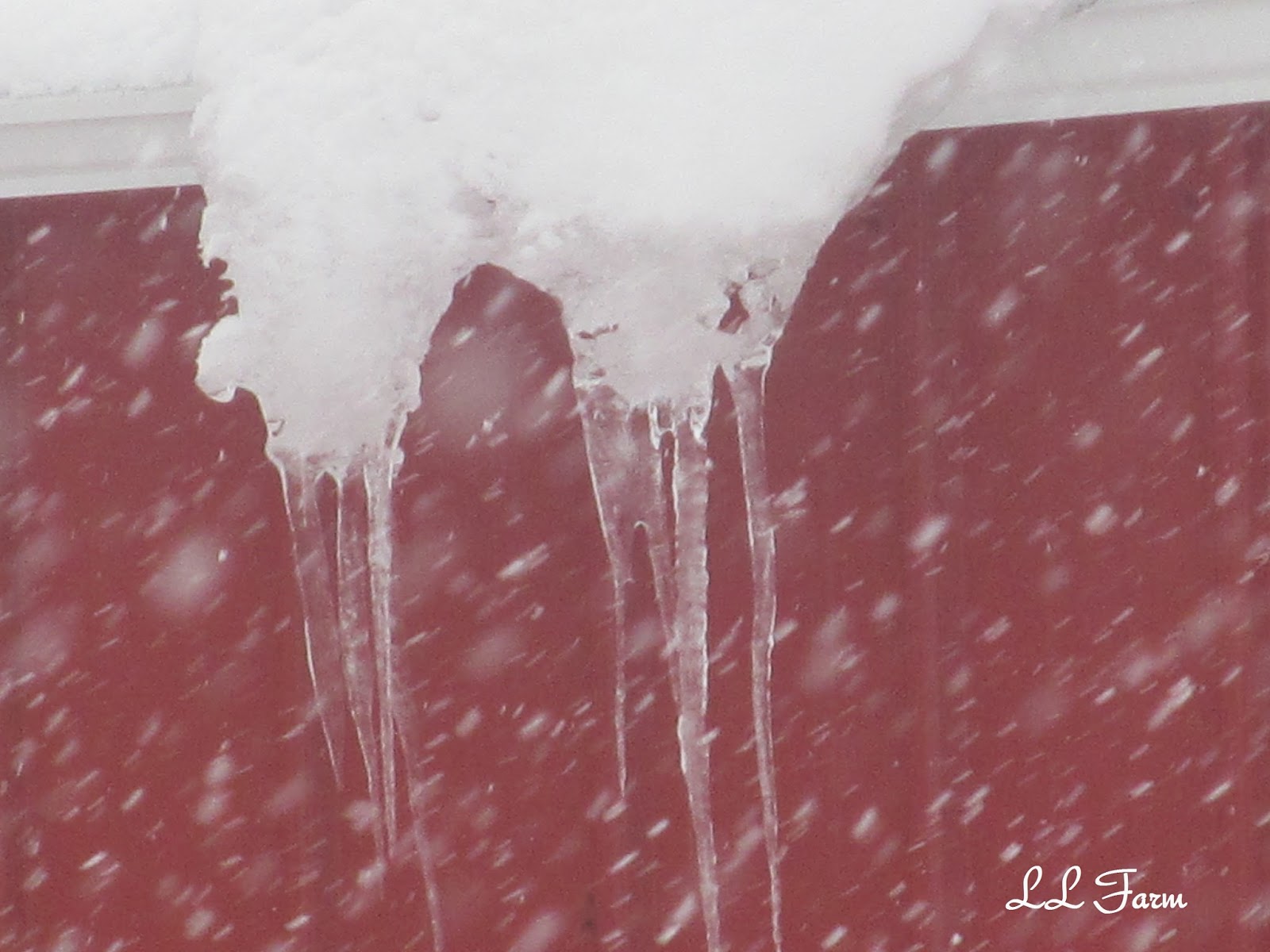 LL Farm: Farm Photo Friday (3-6-2015)