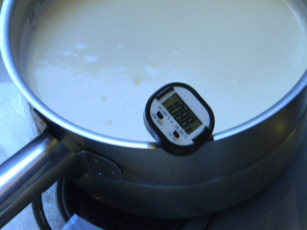 Debbie & Harry's Kitchen: The great homemade yogurt experiment - round one