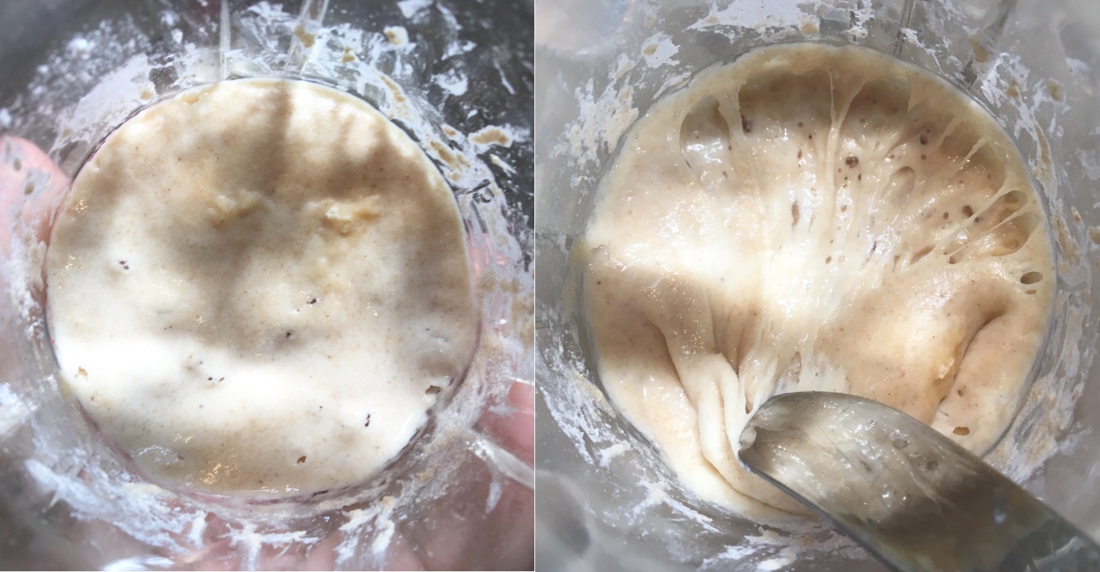 Cara Membuat Sourdough Starter (Ragi Alami)