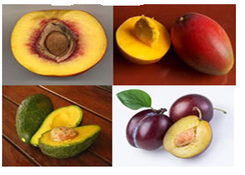 NEEJACP - Núcleo Estadual de Educação de Jovens e Adultos e de Cultura ...