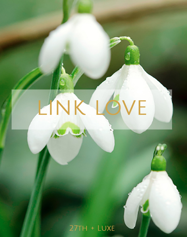 27th + Luxe: March 2014