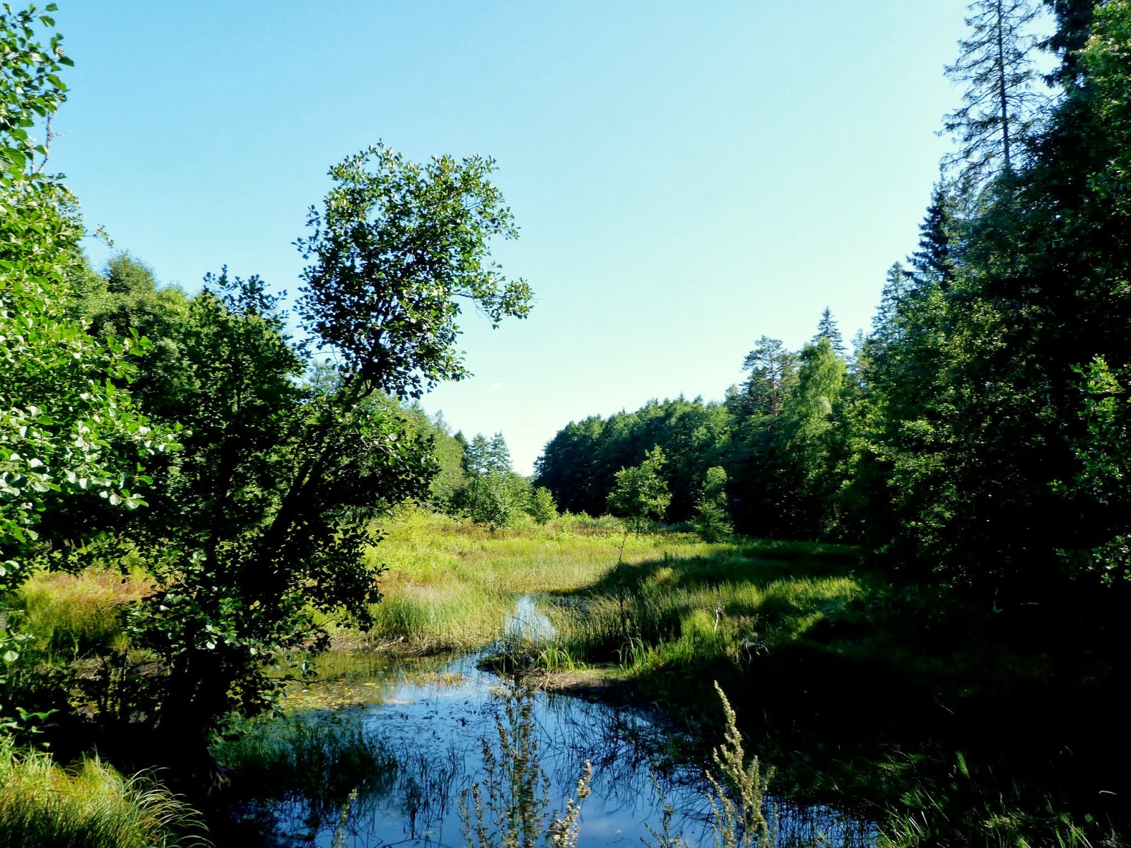 Nora in Estland: Eesti loodus ...