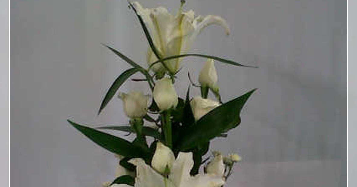 Inspirasi Bunga mekar