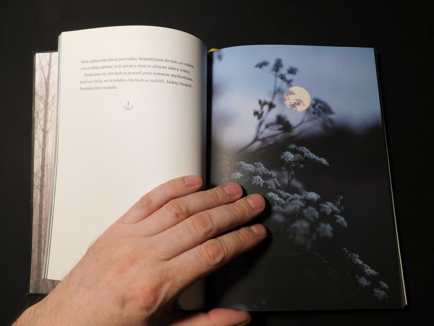 Maaristaan a jeho Čtenářský deník: Markus & Frida Torgeby .:. Pod širým ...