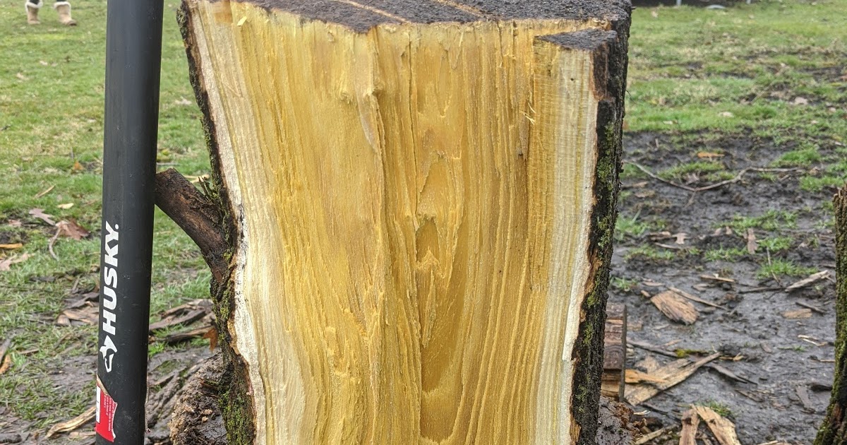 More Mulberry Firewood - Yellow, Purple and Heavy