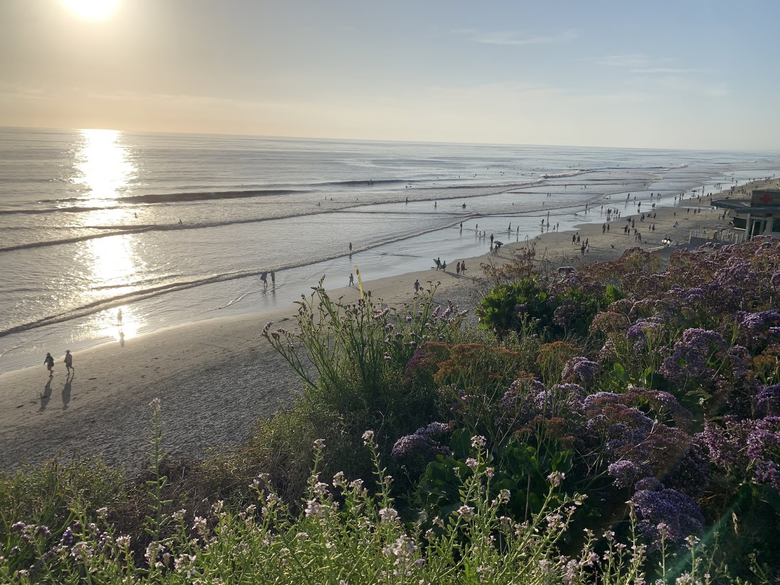 Encinitas Undercover: Moonlight Beach opens despite deadly Surfing ...