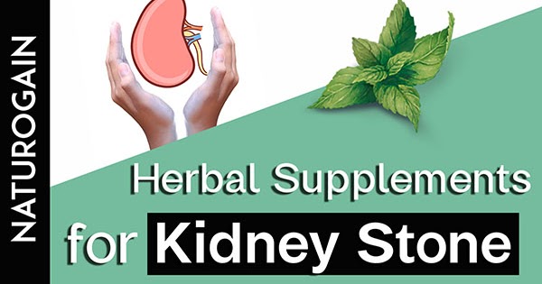 Herbal Supplements for Kidney Stone Removal and Kidney Support Foods