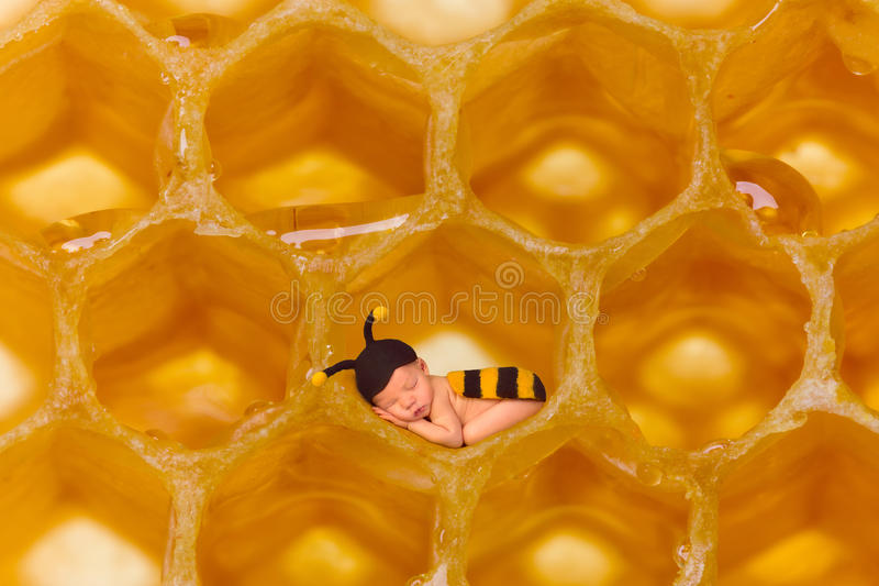 What Should I Be Doing With My Bees This Month?: 2017