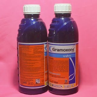 Gramoxone 276 SL 1 Liter Ampuh Basmi Rumput dan Ilalang - Kings Shop ...
