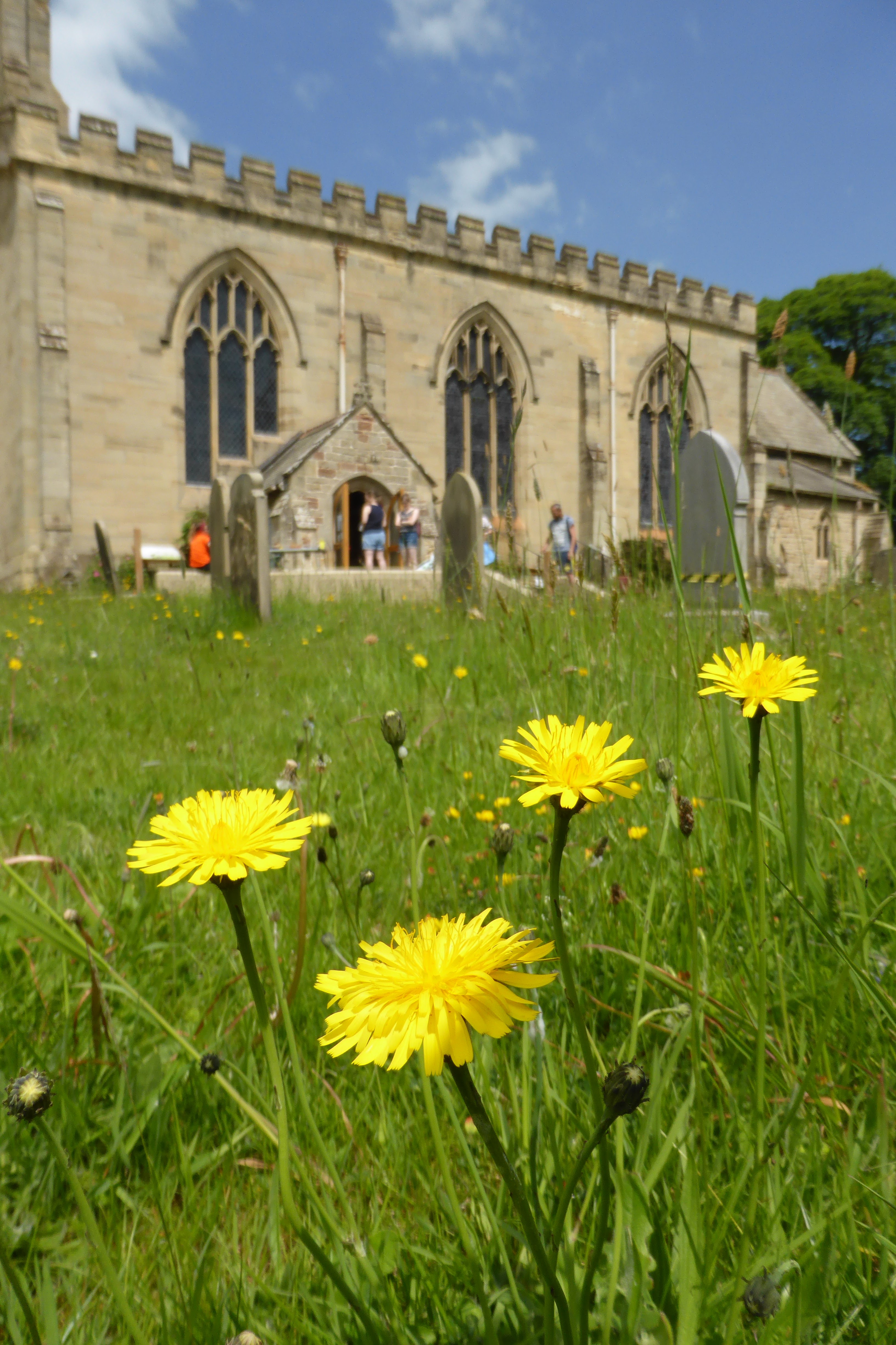 The Rainforest Fund Project: Day 5 - 30 Days Wild 2021 - Sharow ...