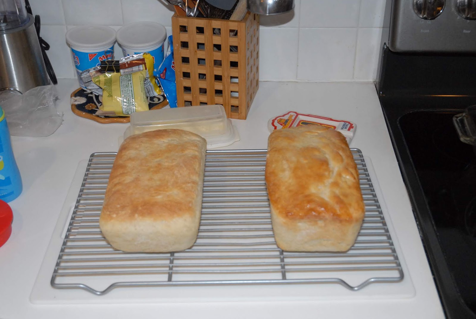 Every Blade of Grass: Bread.....Epilogue