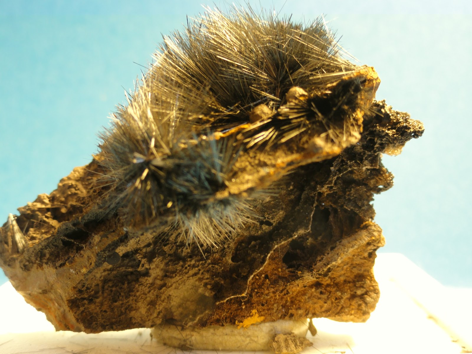 Mi colección geológica: Pirolusita y Oxidos de manganeso