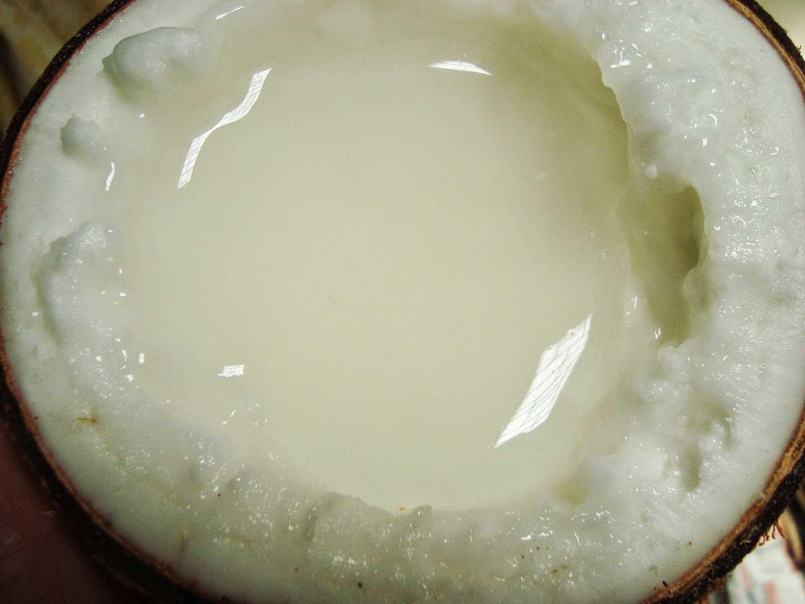 Living with Nature - School on Blog by Dr. Abercio V. Rotor: Mystery of ...