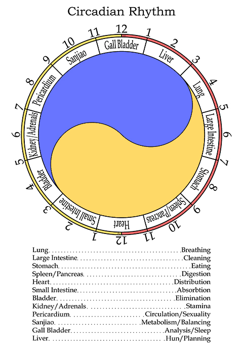 JORGENCA - Blog Administração: O Líder Zeitgeber