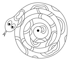 Science Projects: Snake spirals