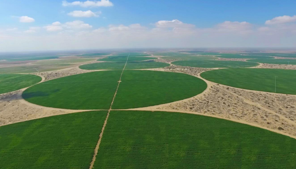 DESARROLLO PERUANO: Los Imponentes Círculos de Olmos