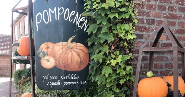 niwibo - life is so beautiful: Carin´s pompoen tuin oder Willkommen im ...