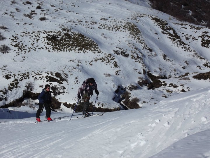 Tours, Caminatas y Randonee en Curacautín