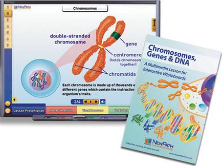 Jenis- Jenis Multimedia Interaktif untuk Media Pembelajaran ~ Blog ...