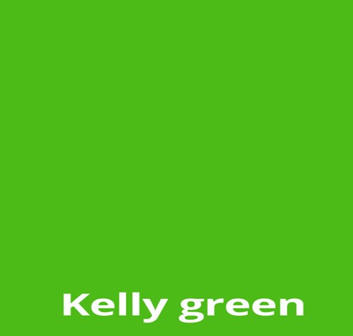 Chemung County Historical Society: The Luck of the Irish