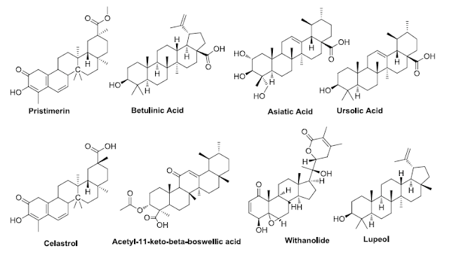 Keragaman dan Keunikan Struktur Terpenoid - E-Chemistry