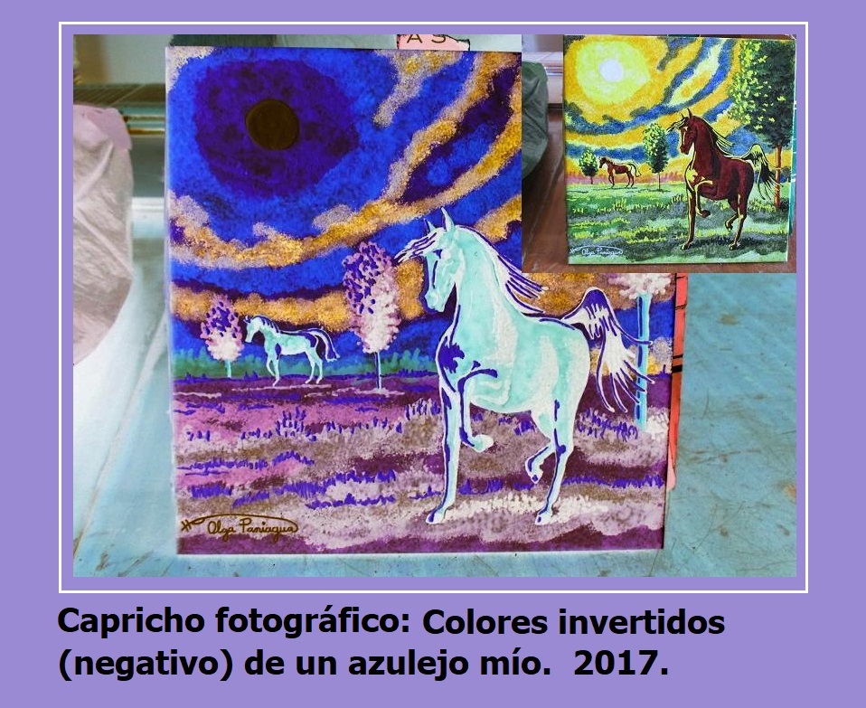 PINTORA OLGA PANIAGUA: FOTOS EN COLOR INVERTIDO