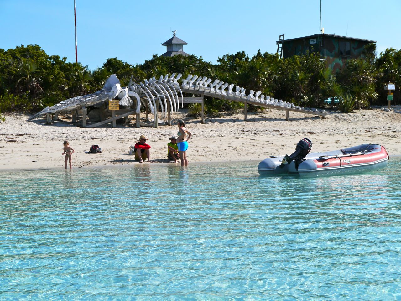 Boys in Blue Water: Exuma Cays Land and Sea Park