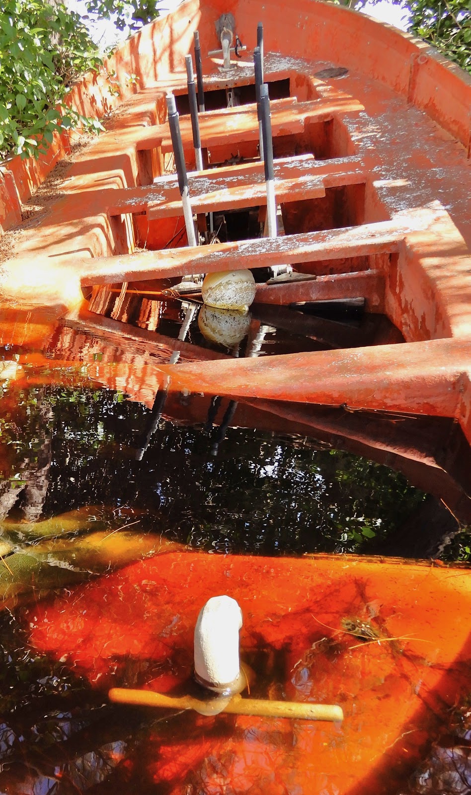 Little Darwin: ABANDONED LIBERAL LEADER STILL EXPOSED TO PUBLIC GAZE ...