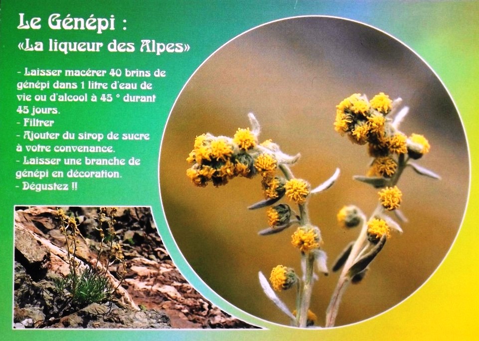 "S" obéit et "R" agit: Génépi